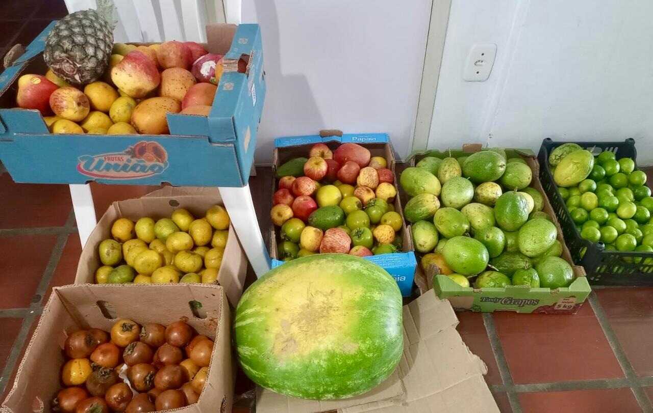 Programa Banco de Alimentos de Tubarão recebe pouco mais de sete ...